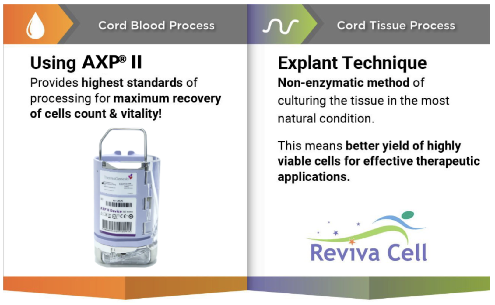 Advantages Of Cryoviva